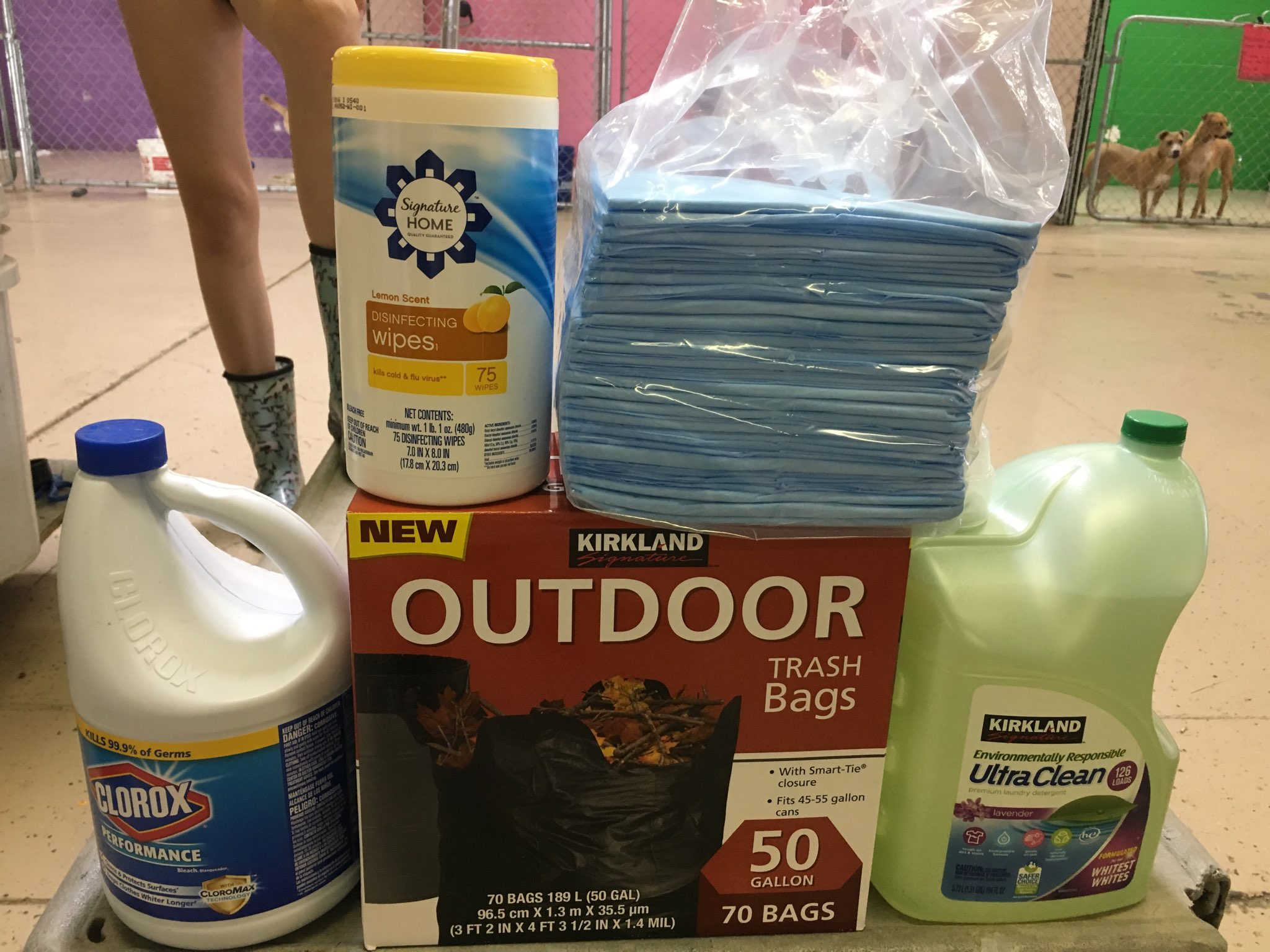 Donations | Desert Tails Shelter
