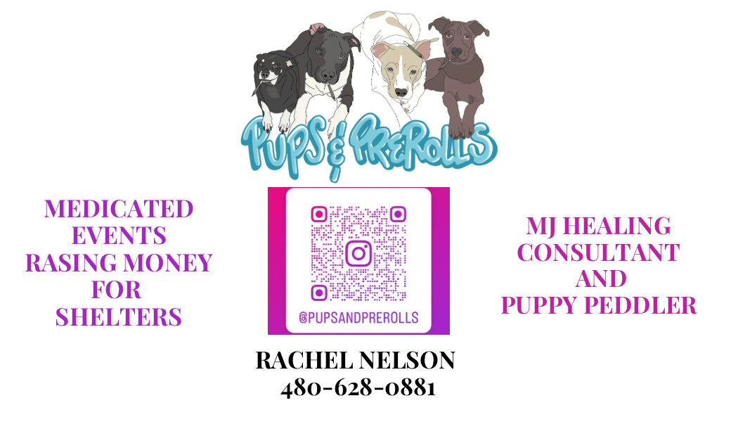 Desert Tails Shelter | Every dog has a tale to tell!