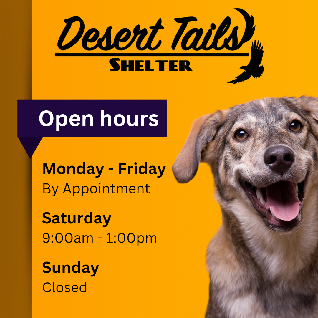 Location and Hours | Desert Tails Shelter